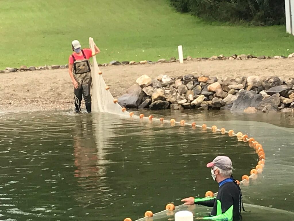 Fish and Wildlife • LOPA - Lake Onota Preservation Association